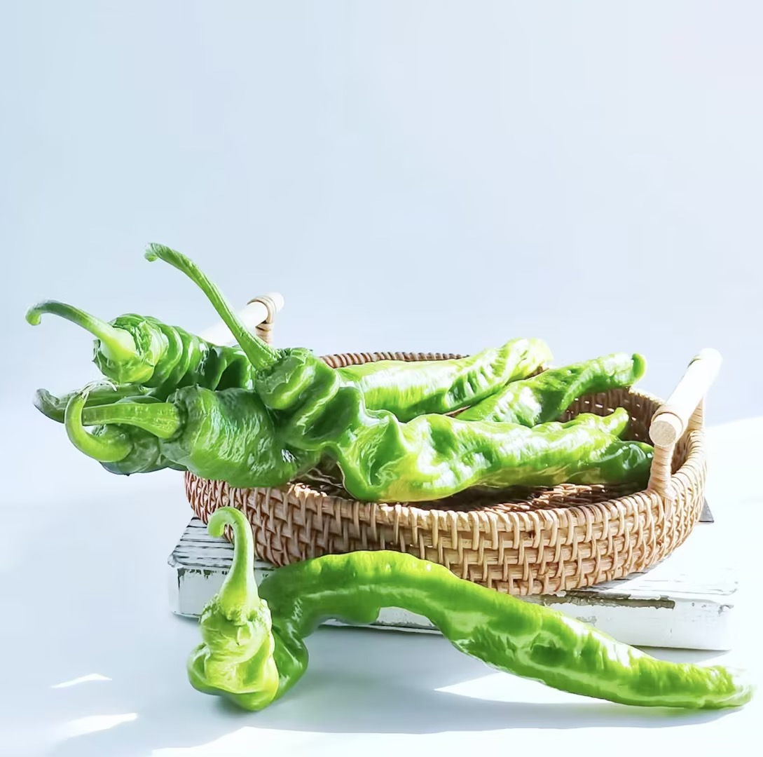 螺丝椒 1千克 Green Pepper 1kg 8509482-WKEA/上海维嘉